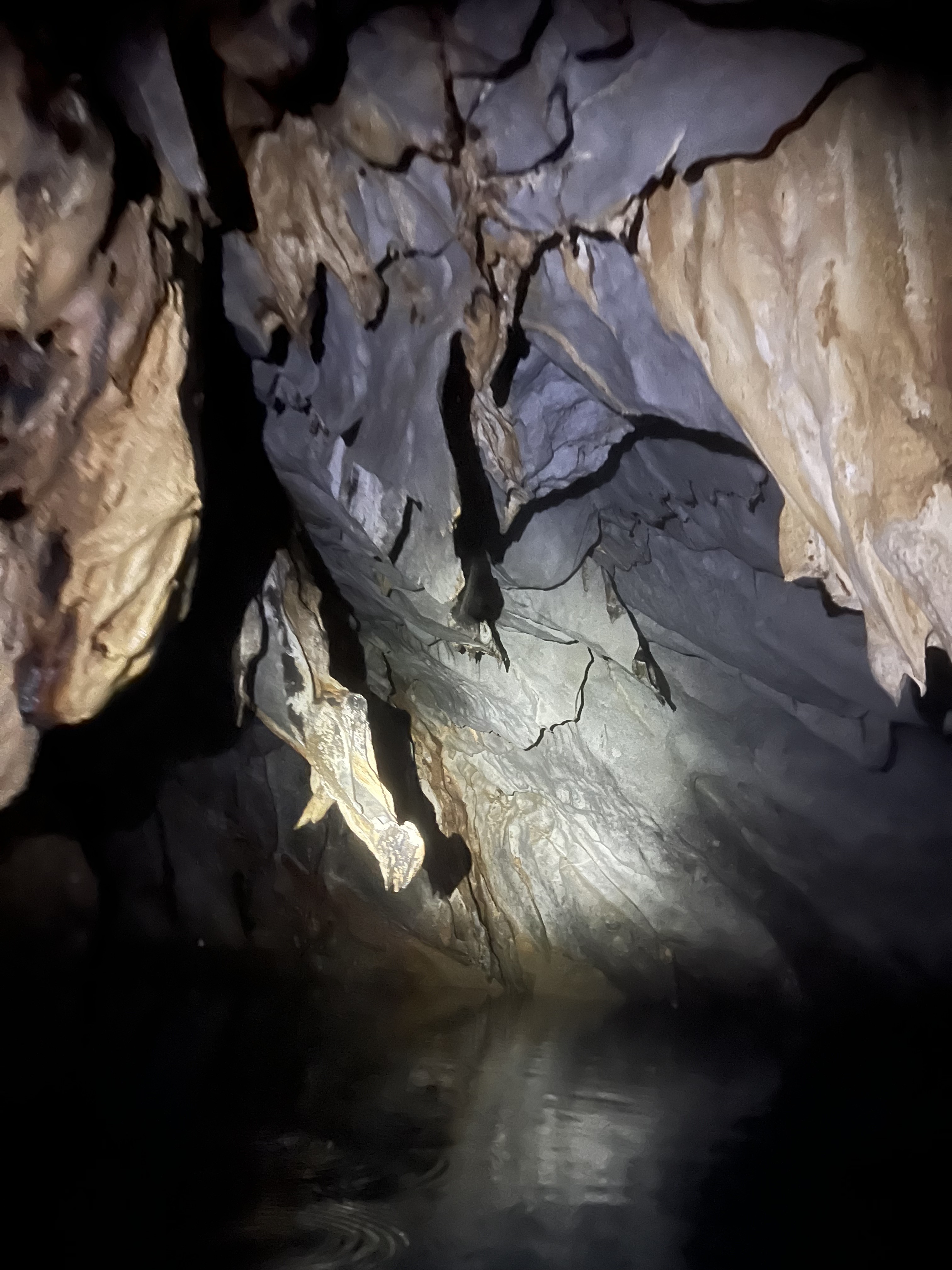 Palawan: Arguably, the Philippines’ Best Island (Part 2 of 2) – Tanghal ...
